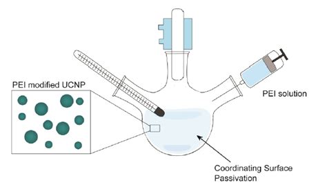 The Design Fabrication And Characterization Of Nanoparticle Protein Interactions For