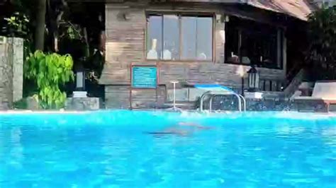 Siesta Keys Sex Videos And Recorded Cam Shows Stripchat