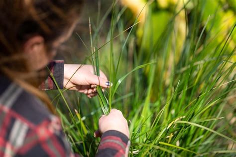 Premium Photo Female Farmer Looking At Crop Health And The Roots