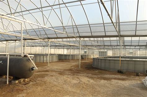 At La Dulse Vita Were Dedicated To Growing Premium Pacific Dulse Using A Sustainable Inland