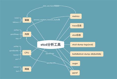 14 延时：为什么你的etcd请求会出现超时？