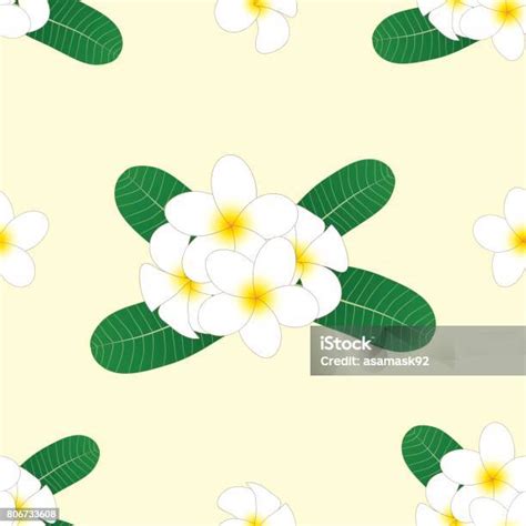 Plumeria 아이 보 리 베이 지 바탕에 Frangipani 화이트 벡터 일러스트 레이 션 0명에 대한 스톡 벡터 아트 및