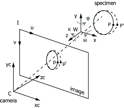 The Camera And Specimen Arrangement C Is The Camera Reference Frame W Download Scientific