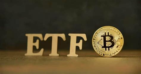 On July 12 Bitcoin Etfs Saw Remarkable Inflows Of 310 Million Their