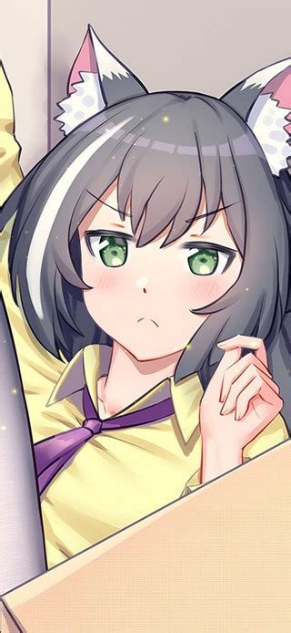 4k猫耳朵女孩壁纸 4k猫耳朵女孩手机壁纸 4k猫耳朵女孩手机动态壁纸 元气壁纸
