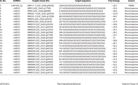 Selected Mirna Target Pairs For Validation Download Table