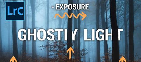 25 Tutorials To Learn Master Adobe Lightroom Speckybabe