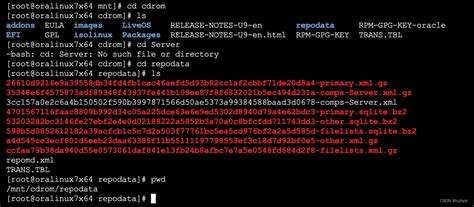 Linux安装oraclelinux 安装oracle数据库 Csdn博客 Linux安装oraclelinux 安装oracle数据库 Csdn博客