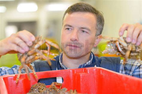 Comparing Crabs Colourbox