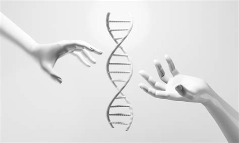 혈액 구조 게놈 3d 그림 렌더링을 가진 과학 생물학자의 Dna 인간 나선 분자 세포 연구와 손 프리미엄 사진