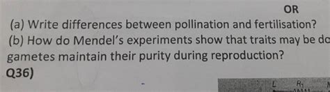 Ora Write Differences Between Pollination And Fertilisationb How D