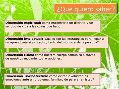Proyecto De Vida Dimensiones Del Proyecto De Vida