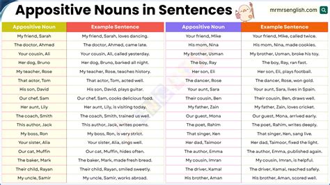 Appositive Nouns Examples Sentences In English With Pictures Mr Mrs