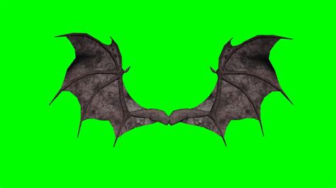 Devil Wings Overlay Devil Wings Green Screen Video