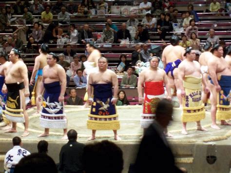 Amazing Facts To Know About Sumo Wrestling Things To Do In Tokyo