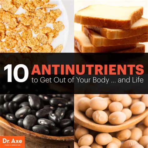 10 Antinutrients To Get Out Of Your Diet Immediately Dr Axe