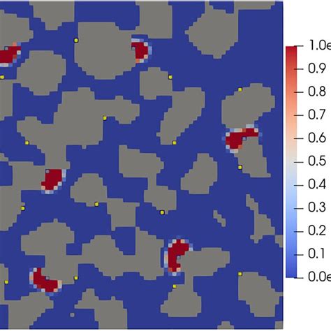 Two Different Biomass Distributions Used In Simulations Of Microbially Download Scientific