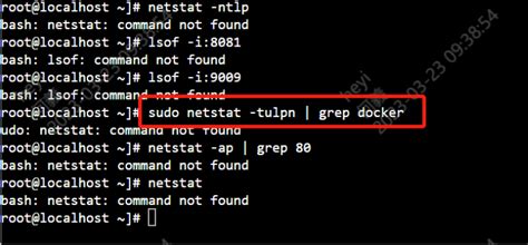 Linux下面使用netstat相关的命令不可用，该如何处理解决？ 勇敢 的心 博客园