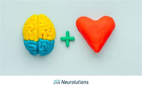 The Brain Heart Connection Understanding How The Brain Influences