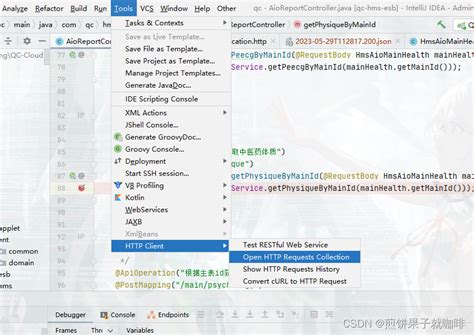 Idea插件client添加请求头 （client 简单使用：编写请求头、编写请求参数、获取响应头、获取网页内容） 编程库