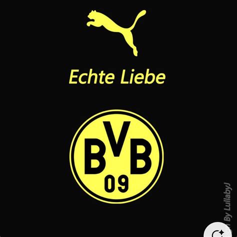 Bvb09 Youtube