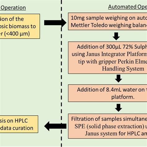 Schematic Illustration Of The High Throughput Protocol Workflow For