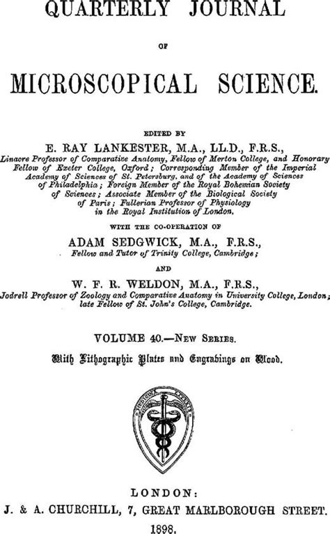 The Pre Ocular And Post Ocular Tentacles And Osphradia Of Nautilus Journal Of Cell Science