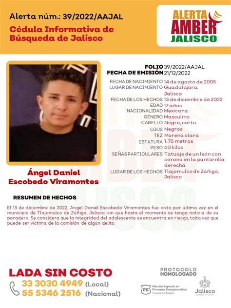 Cédula Amber Ángel Daniel Fiscalía Especial en Personas Desaparecidas