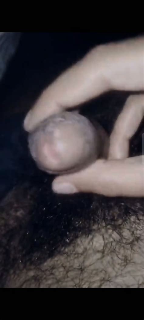 Australia Big Dick Rubbing Precum Is Saulty Eporner