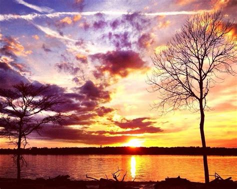 The 15 Best Things To Do In Livingston 2026 Must See Attractions
