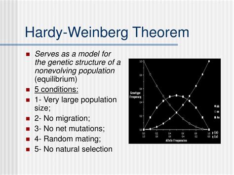 Ppt Ap Biology Chapter 23 Powerpoint Presentation Free Download Id