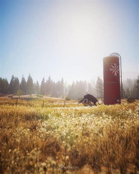 far cry 6 no longer working after update r farcry