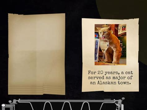 Ganeexplains Fact Or Fib 10 Speaking Cards