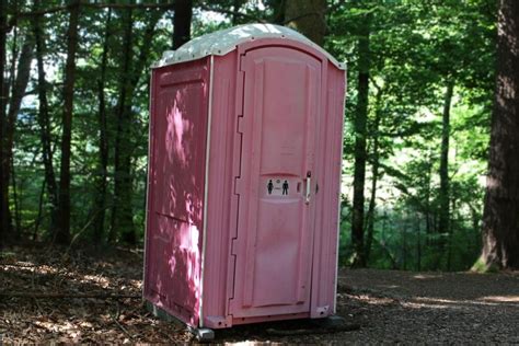 Austrias Green Party To Teach Women How To Urinate Standing Up