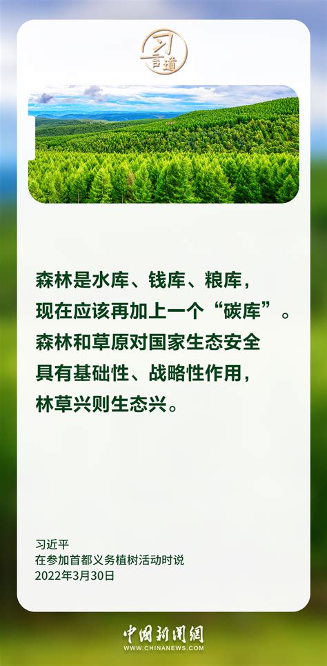 习言道｜种出属于大家的绿水青山和金山银山 光明网
