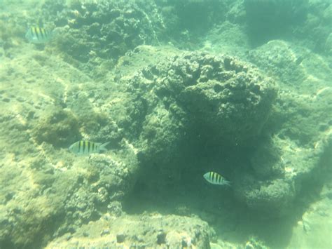 Porto Galinhas y sus paradisíacas piscinas en arrecifes Viaje Sencillo