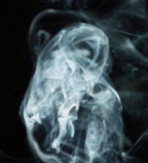 Does This Look Like A Bb Casing Rbedbugs