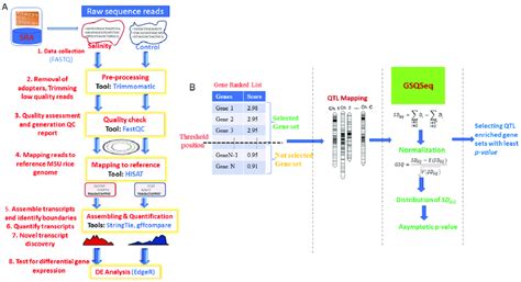 Operational Procedure For Gsqseq Approach A Outlines Of Rna Seq Data