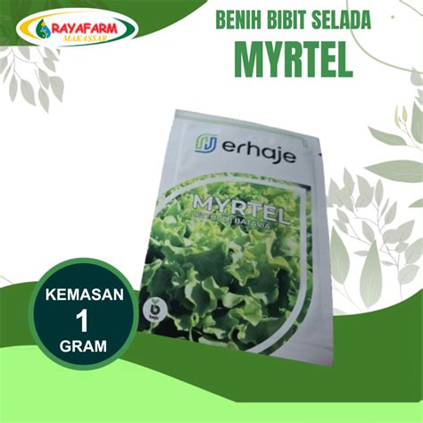 Jual Benih Bibit Selada Myrtel 1gr Bejo Seed Shopee Indonesia