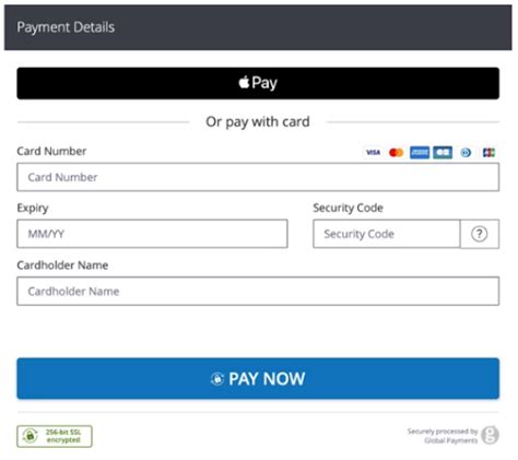 Apple Pay Global Payments Developer Portal