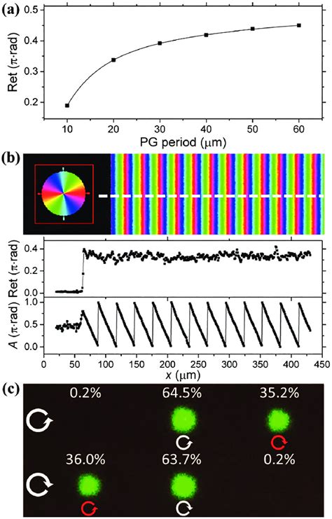 Femtosecond Laser Direct Writing Of Gpoe Designed As A Polarization
