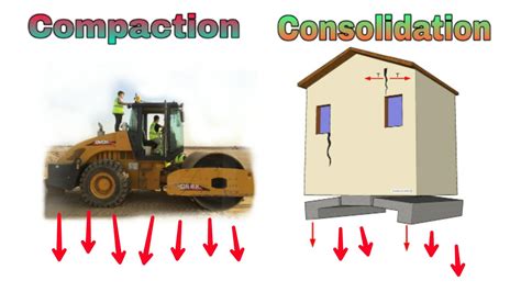 What Is The Difference Between The Personal Compactors At Elsie Tucker Blog