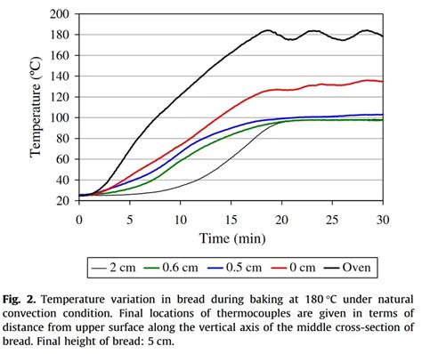 What Happens Inside Dough During Baking Key Processes Explained