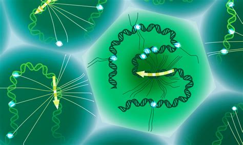 Scientists Develop New Single Cell Sequencing Tool To Link Genetic