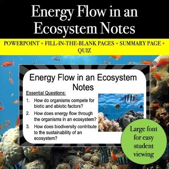 Ecosystems Activity Notes By The Science Rainbow TPT