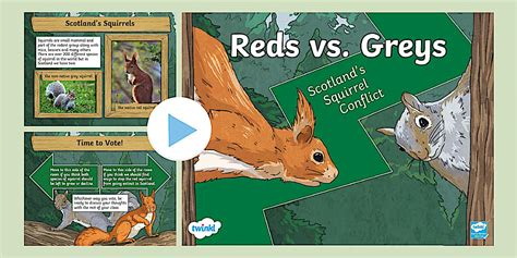Red Squirrel Vs Grey Squirrel Powerpoint Cfe Resources