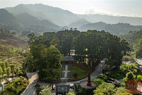 C视觉︱雅安云峰山：竟然藏了中国最美桢楠林四川在线