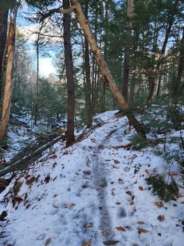 Best Waterfall Trails In Fredericton Alltrails