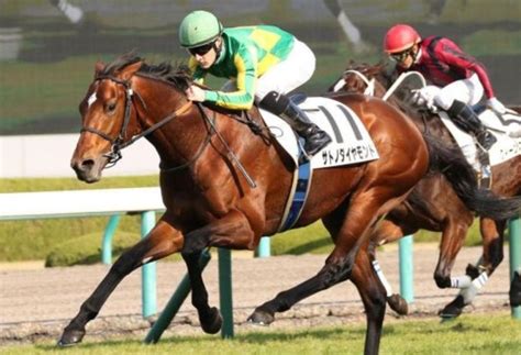 日本ダービー2016調教チェック！追い切りメイチ馬は？ 浅次郎のどんぶり競馬2