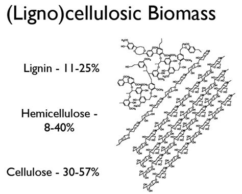 Biorefinery Models Lignocellulosic Biorefinery